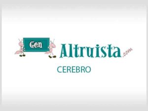 Sistema límbico: El centro de las emociones - Gen Altruista - Ana ...